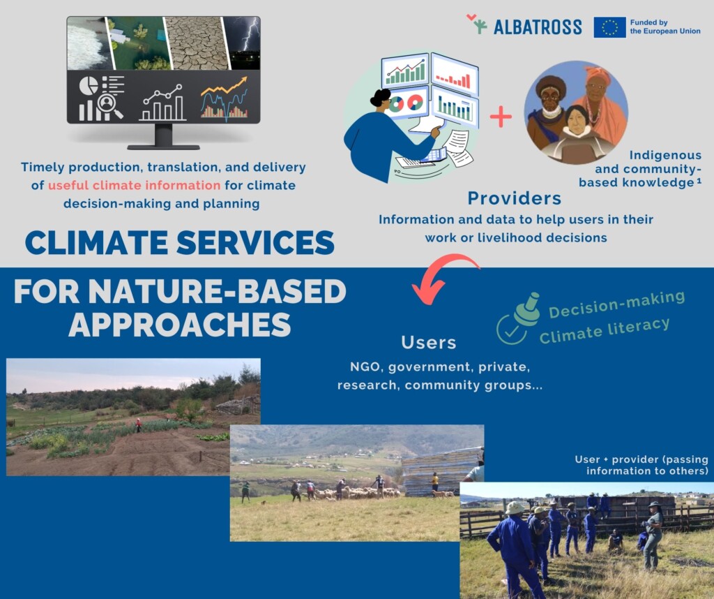Promotional material – Albatross project